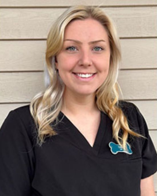 Veterinarian In Gaylord, MI 49735 | Hall Veterinary Clinic